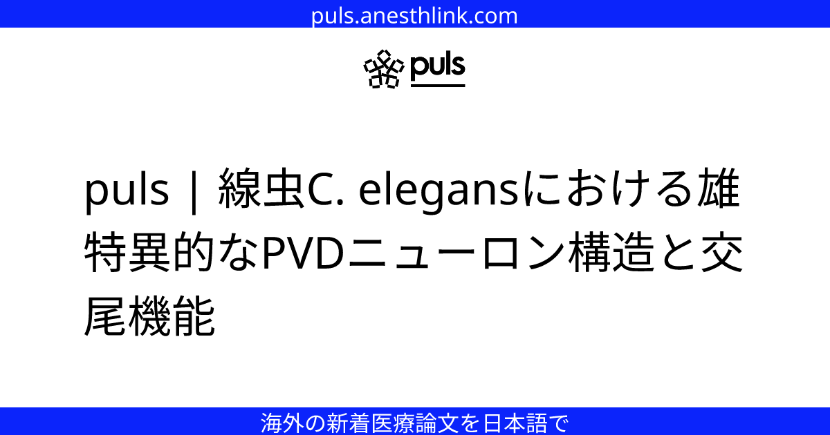 puls | 線虫C. elegansにおける雄特異的なPVDニューロン構造と交尾機能